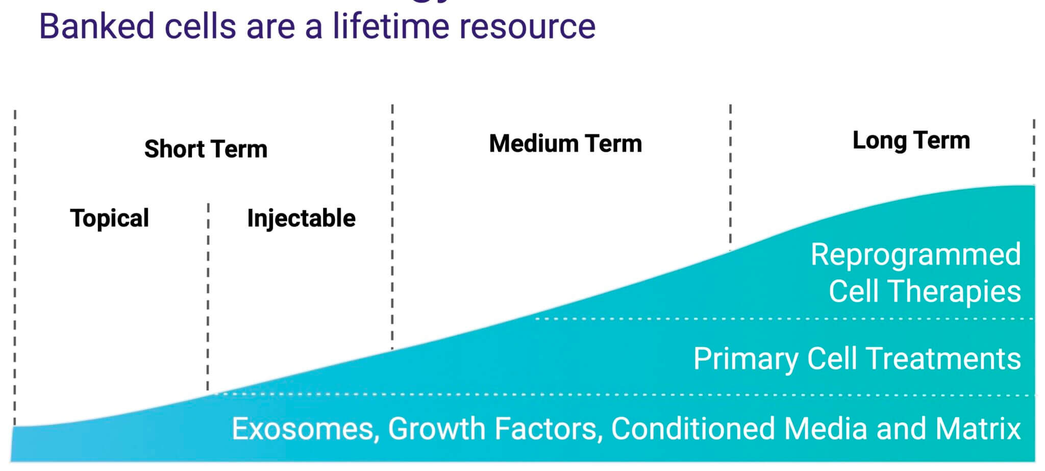 Hair Follicle Stem Cell Banking · Bauman Medical